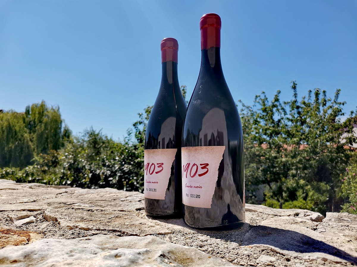Vinarija RAVALICO ima novi sjajan proizvod – 1903 CUVÉE NOIR - Spoj ...
