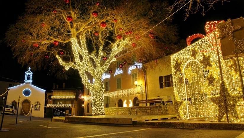 Medulinska ladonja predstavlja Hrvatsku u natjecanju za Europsko stablo ...