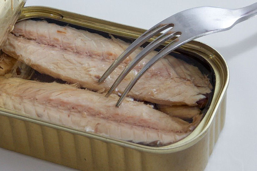 PROVJERITE ZALIHE: Povlače se konzerve s ribom zbog mogućih komadića ...