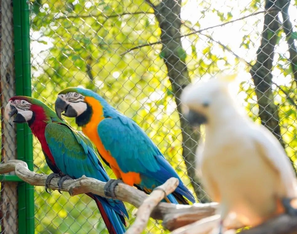 Mjesec poduzetništva u Poreču - Papago park kao primjer koncepta "Od ...