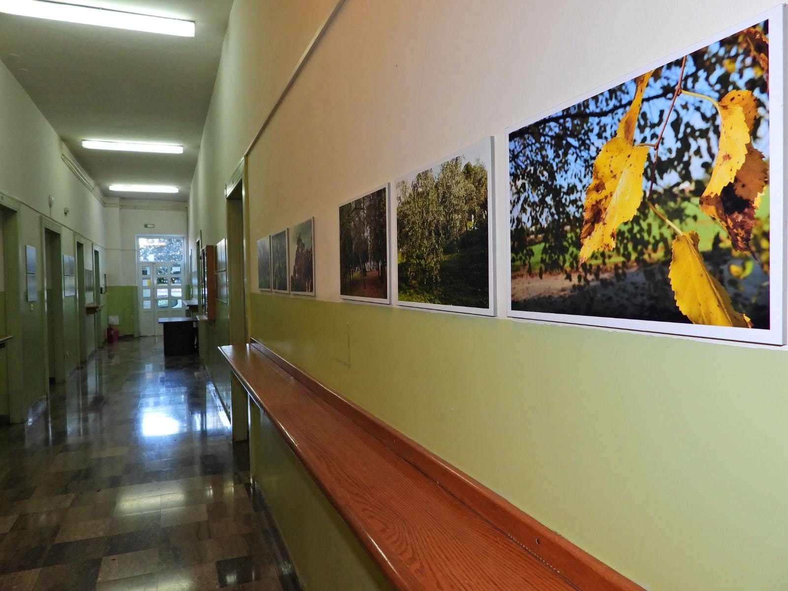 POREČ: Pogledajte izložbu fotografija Balotinih učenika • Istra Terra ...