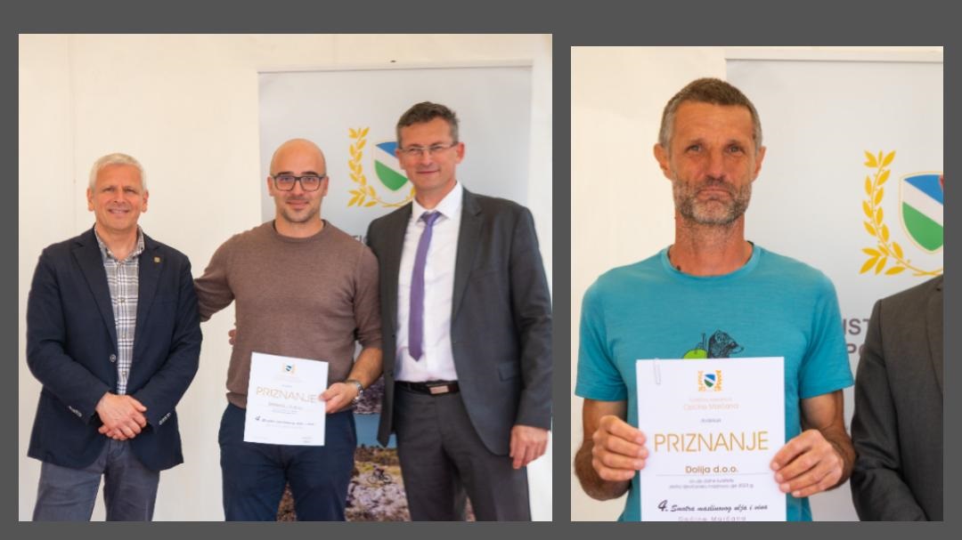 MARČANA: Smotra vina i maslinovog ulja u Krnici – Laureati David ...