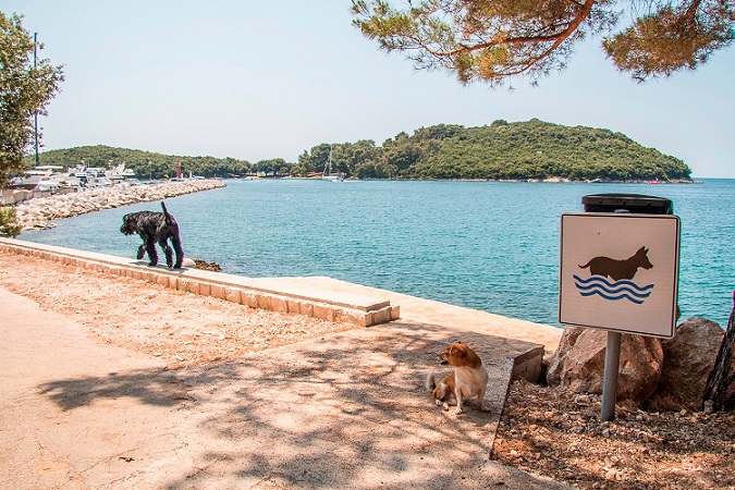 VRSAR: Ovo su plaže za pse na kojima možete s ljubimcima uživati u ...
