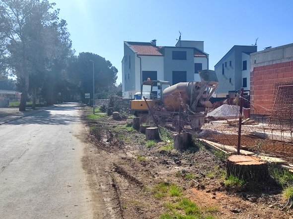 ZADNJE VIJEĆE U FUNTANI: Grgeta odgovorio na pitanja o sječi stabala ...