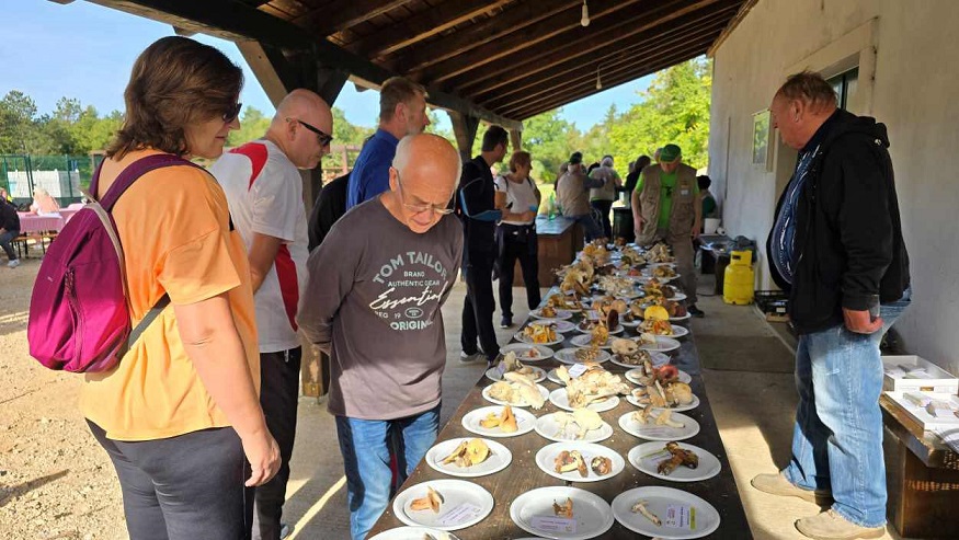 VRSAR: Dan gljiva u Kontiji obilježio završetak manifestacije „Jesen u ...