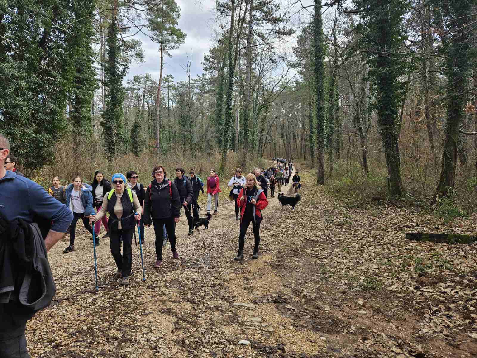 Biciklijada i pješačenje Gornjom Bujštinom: Pedalirajte u sklopu ...